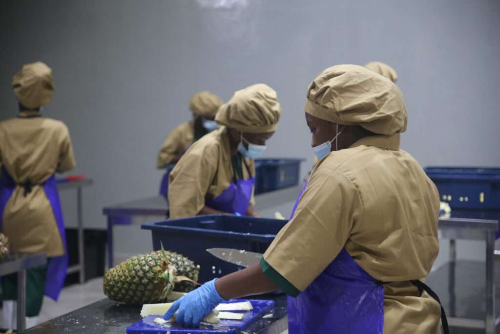 AGROPAL WEST AFRICA LTD – Dried Fruits | Seeds | Edible Nuts